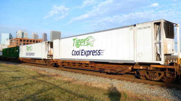 Success Story: Tiger Cool Express